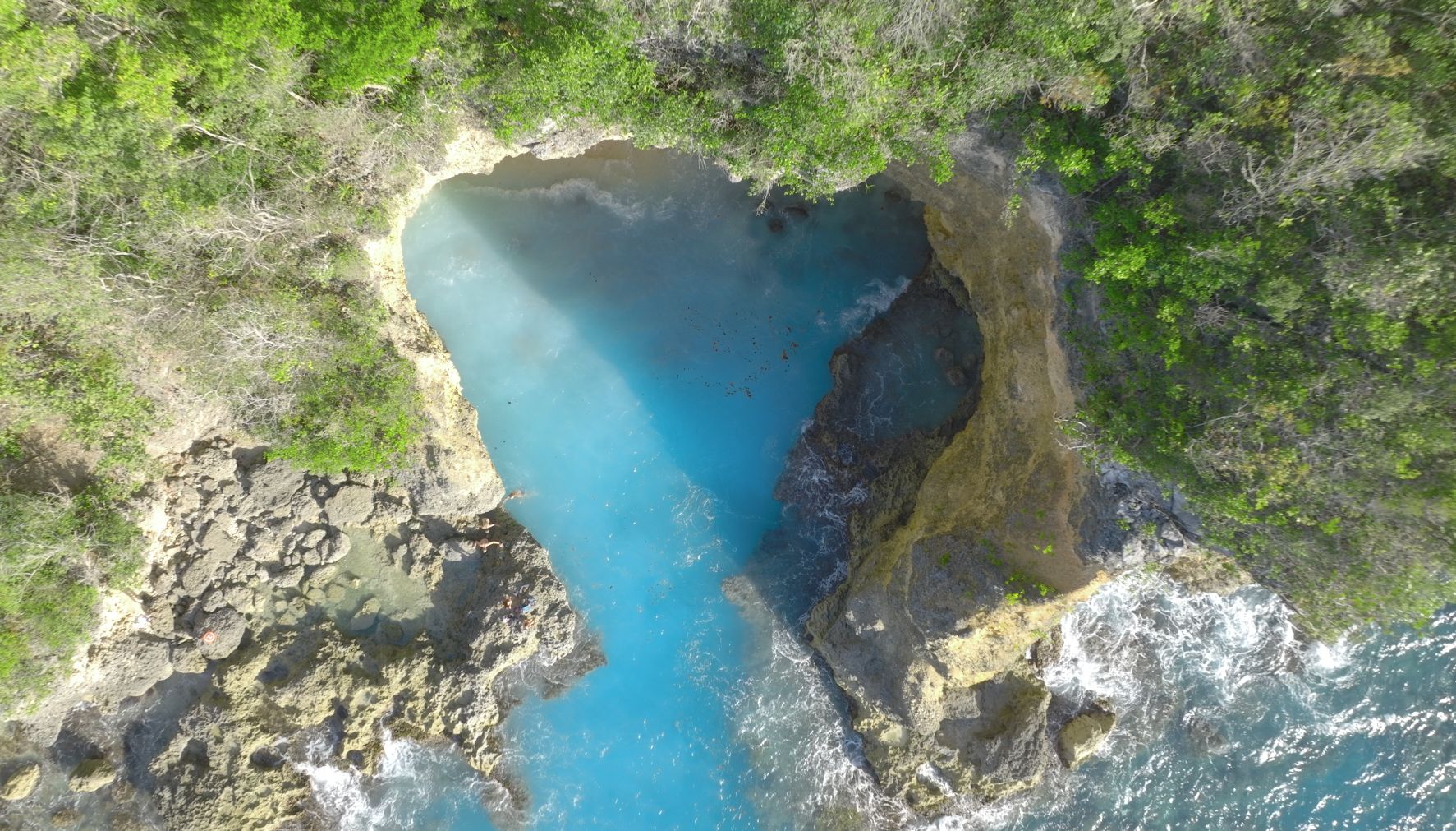 Anse Castalia en Guadeloupe